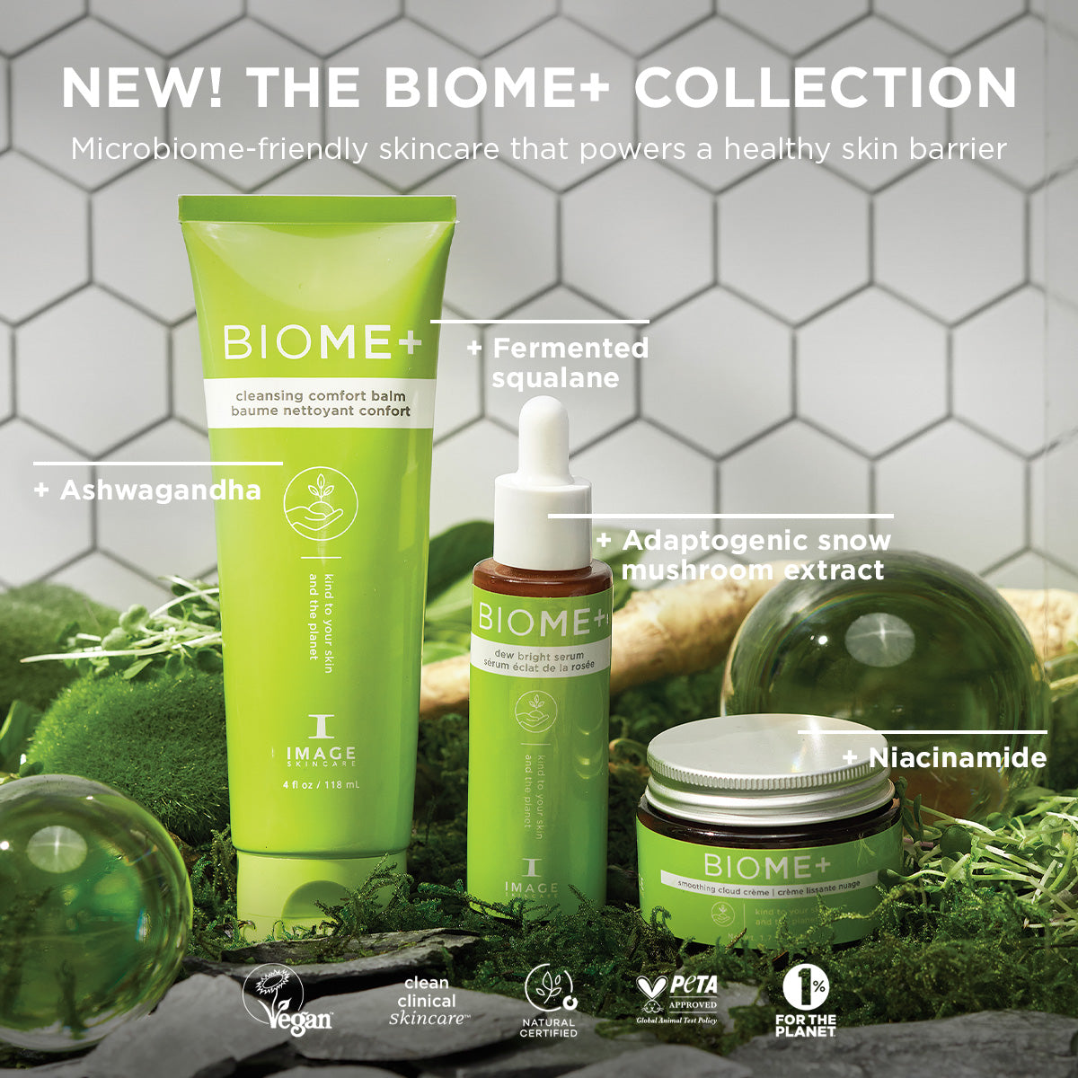 BIOME + – My Store